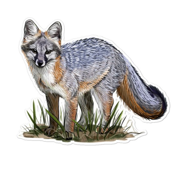 Gray Fox - Etsy