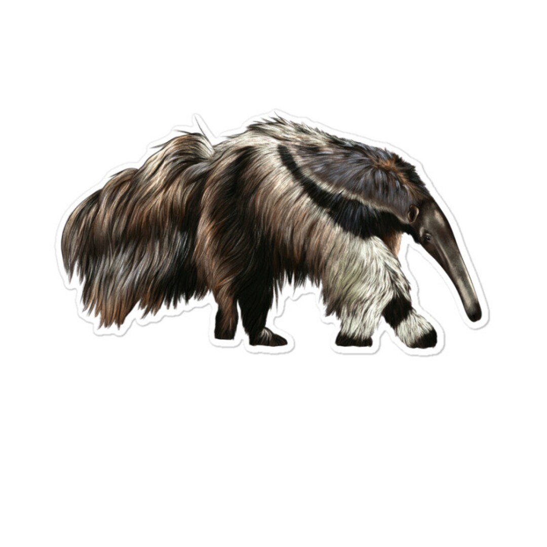 Anteaters Sticker - Etsy