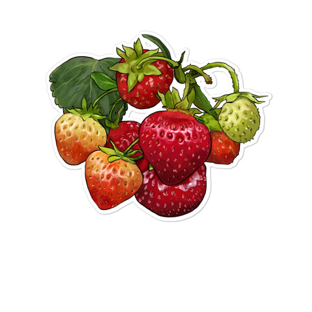 Strawberries Sticker - Etsy