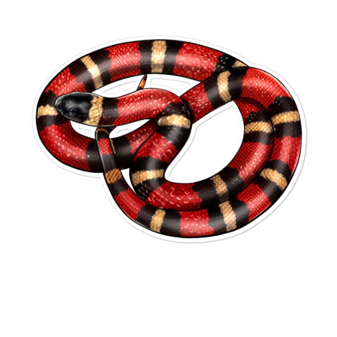Milk Snake Sticker - Etsy