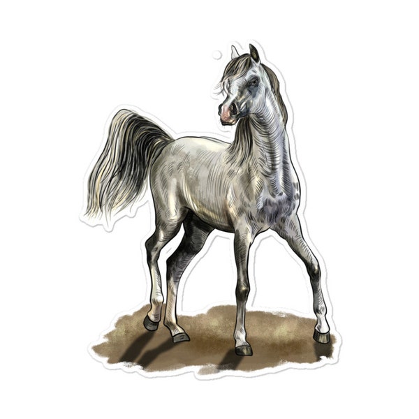Arabian Horse Stickers - Etsy