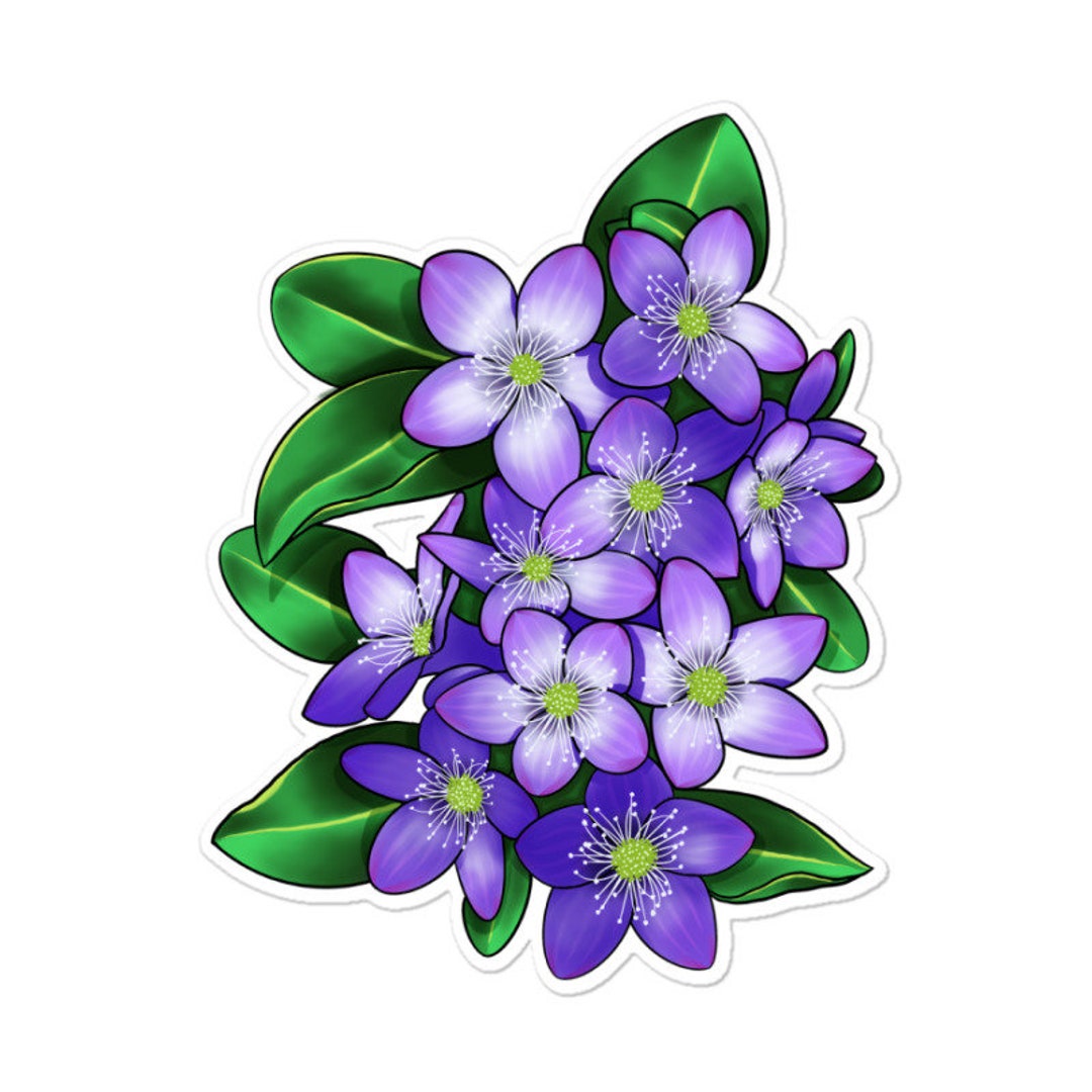 Mayflower Plant Illustrations Sticker - Etsy