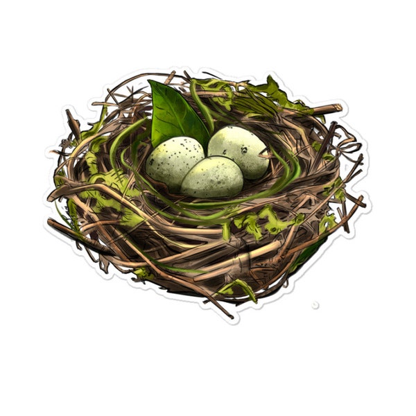Nest With Eggs - Etsy
