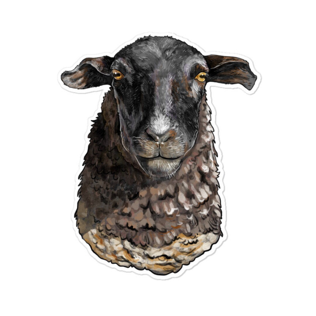 Dorper Sheep Head Sticker - Etsy