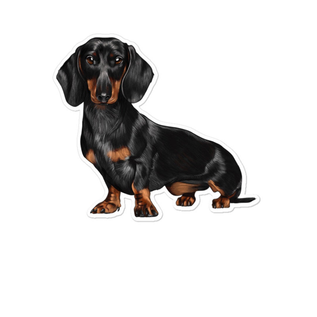 Dachshund Dog Illustrations Sticker - Etsy