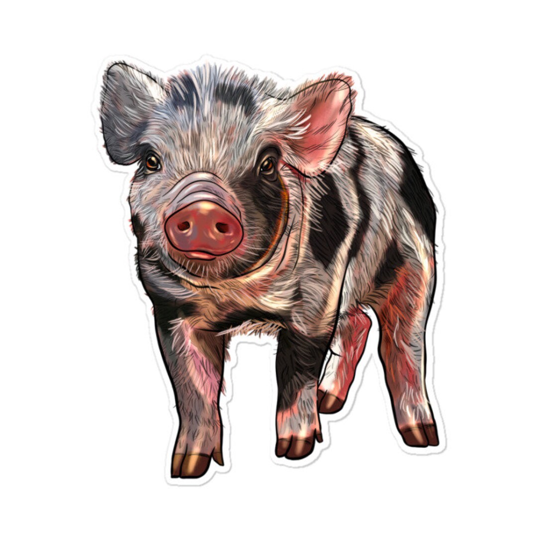Baby Spotted Pig Sticker - Etsy