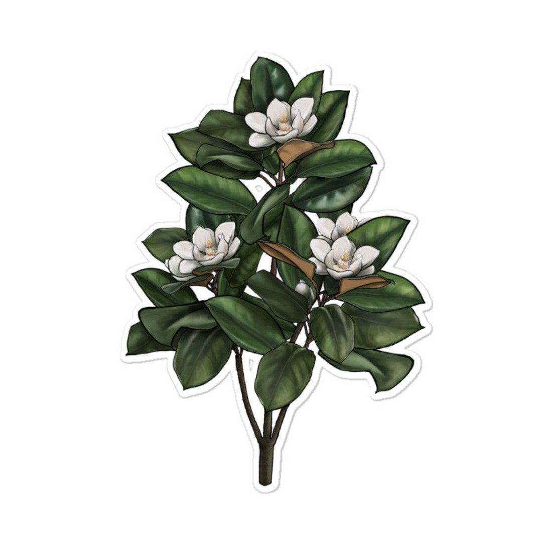 Magnolia Sticker - Etsy