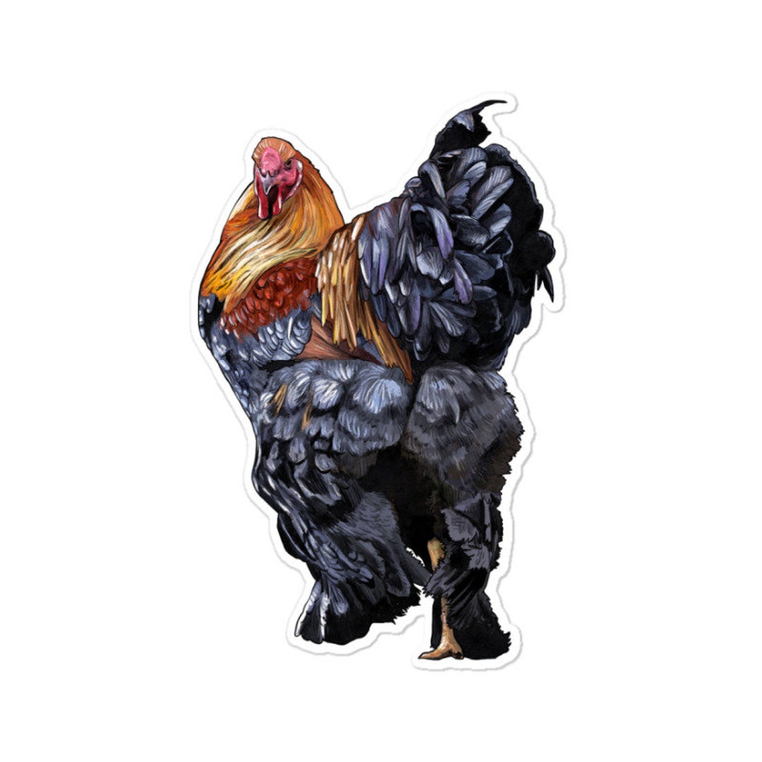 Brahma Rooster Sticker - Etsy