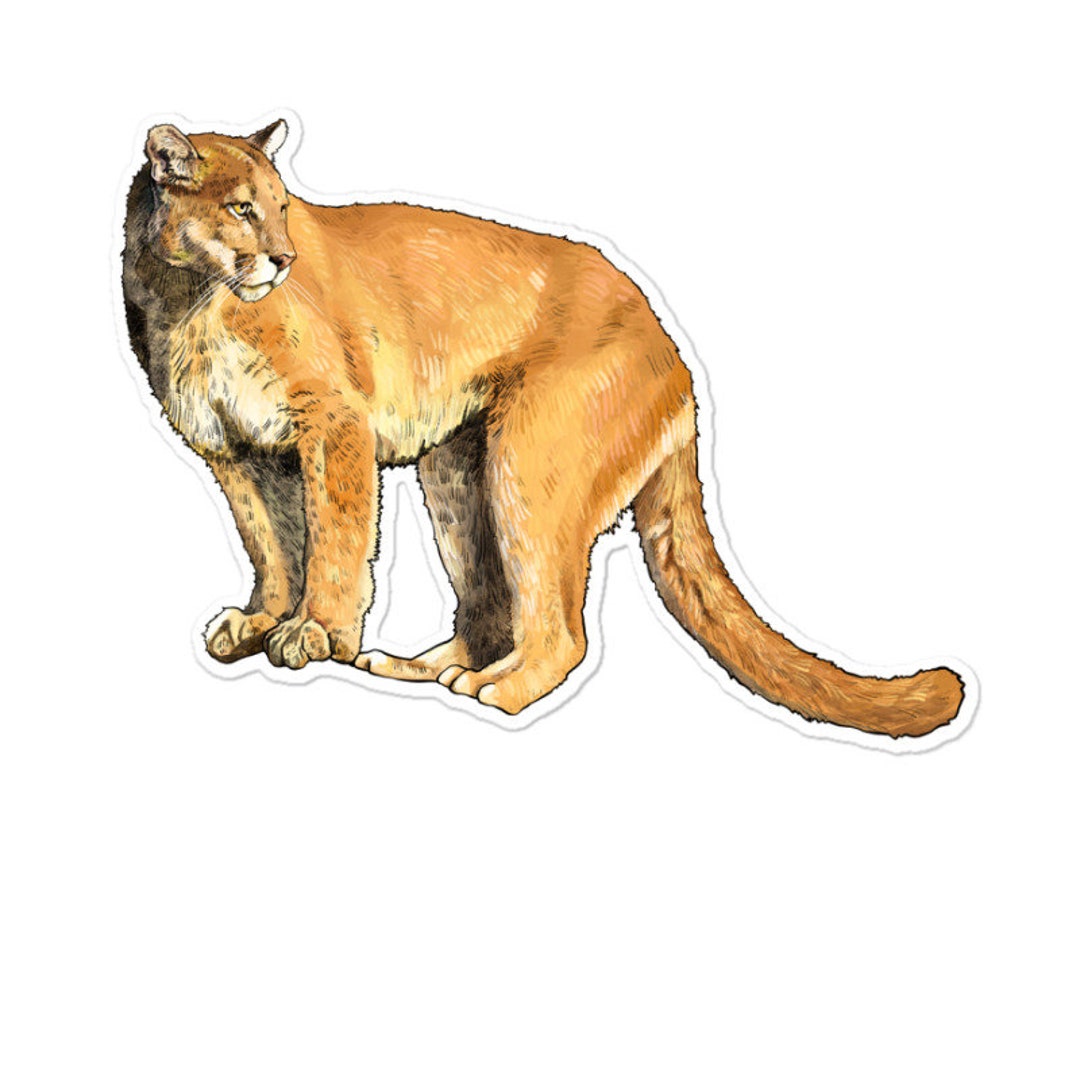Puma Sticker - Etsy