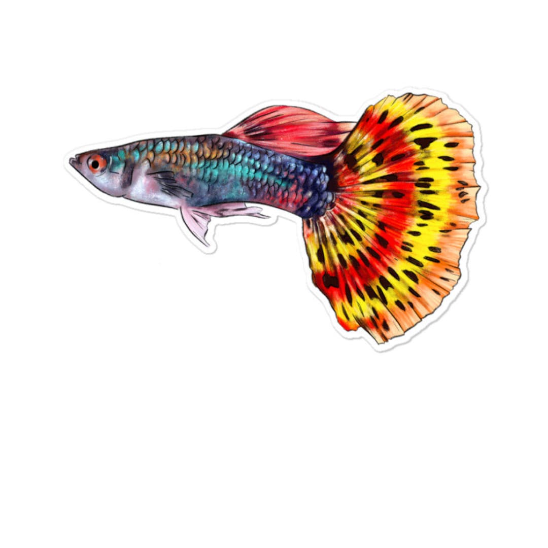 Guppy Fish Sticker - Etsy