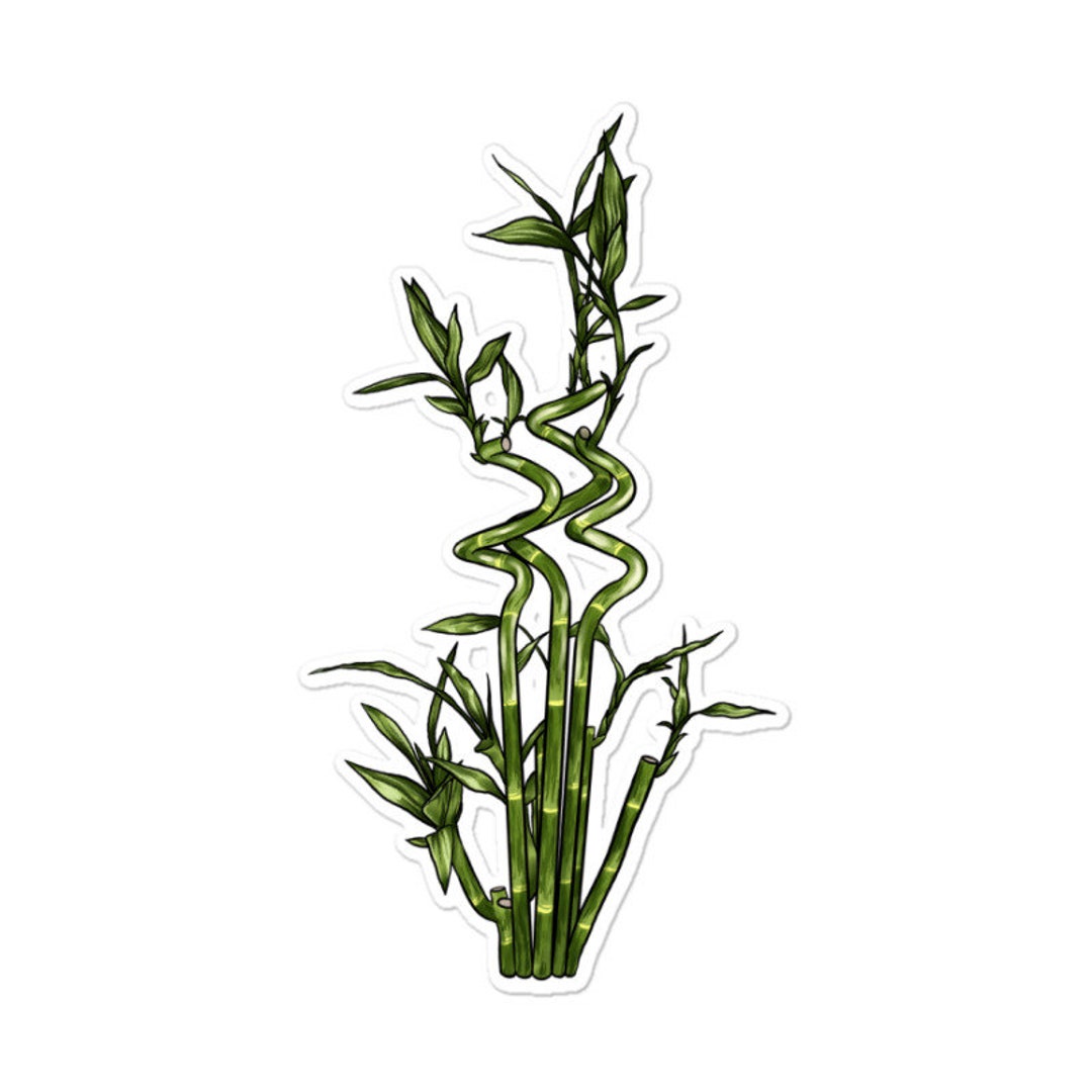 Lucky Bamboo Sticker - Etsy