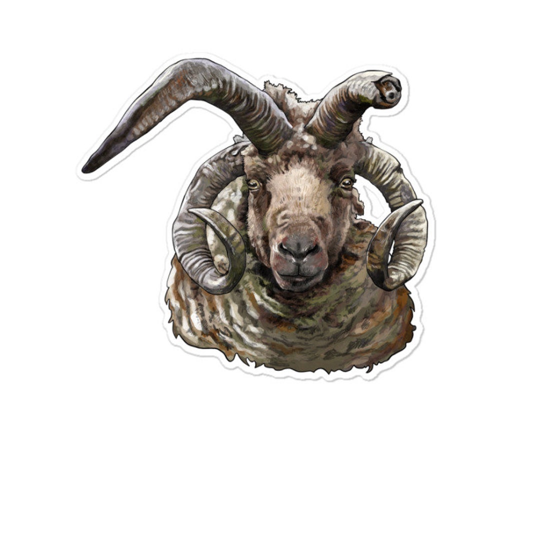 Navajo Churro Sheep Head Sticker - Etsy