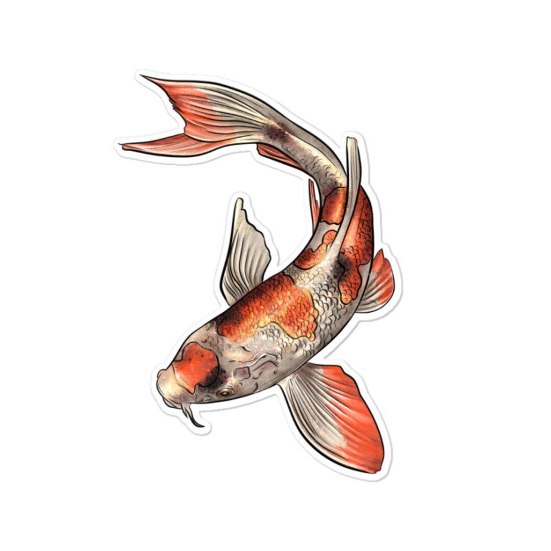 Koi Fish Sticker - Etsy