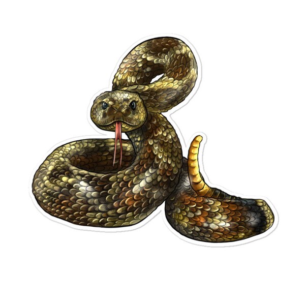 Rattlesnake Stickers - Etsy