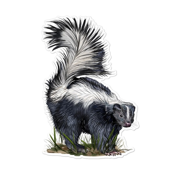Skunk Sticker - Etsy