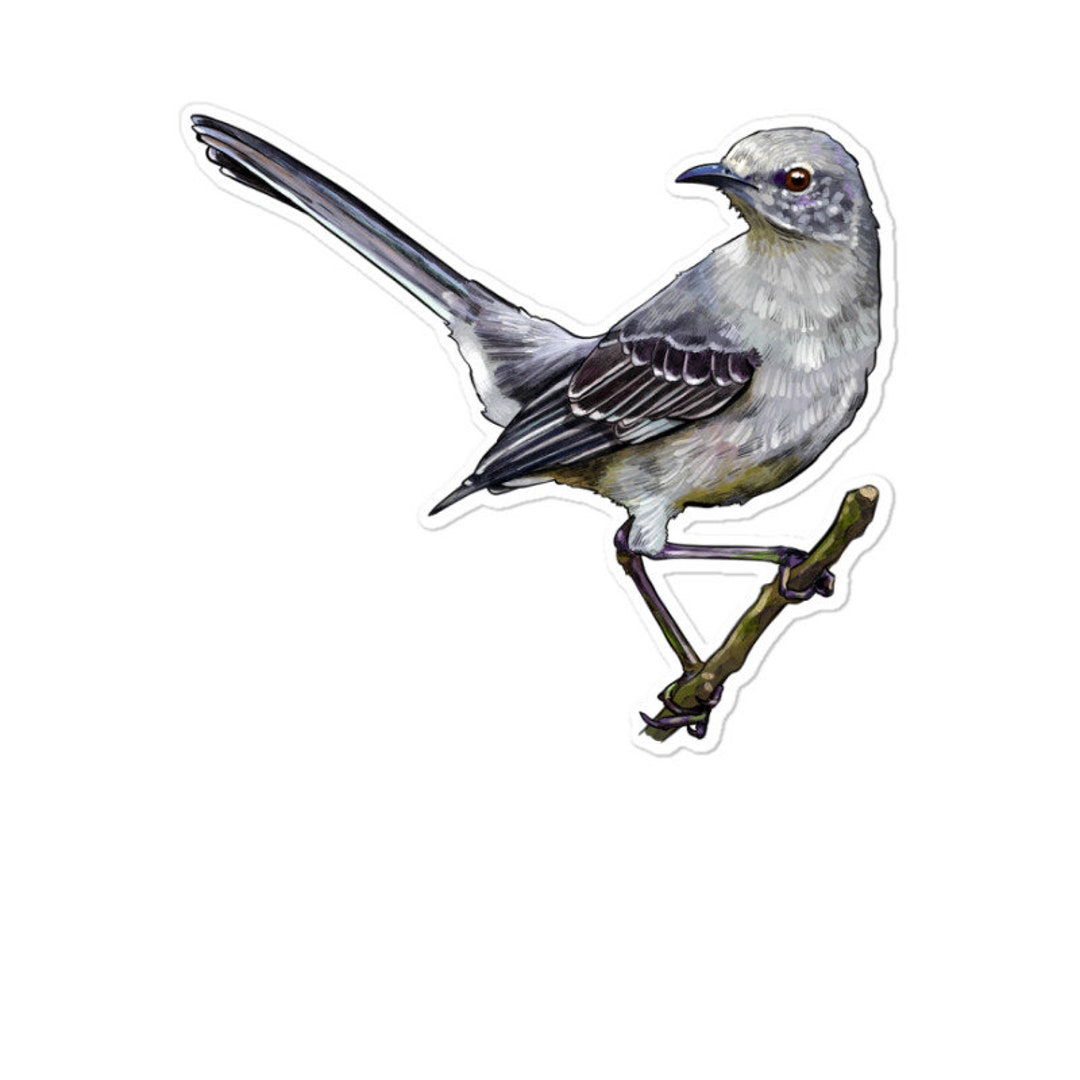 Northern Mockingbird Sticker - Etsy