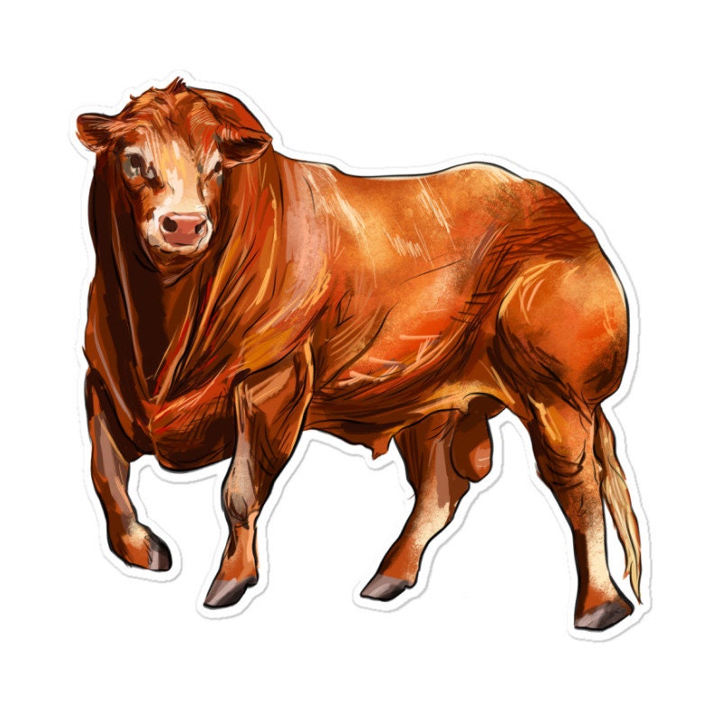 Red Angus Bull Sticker - Etsy