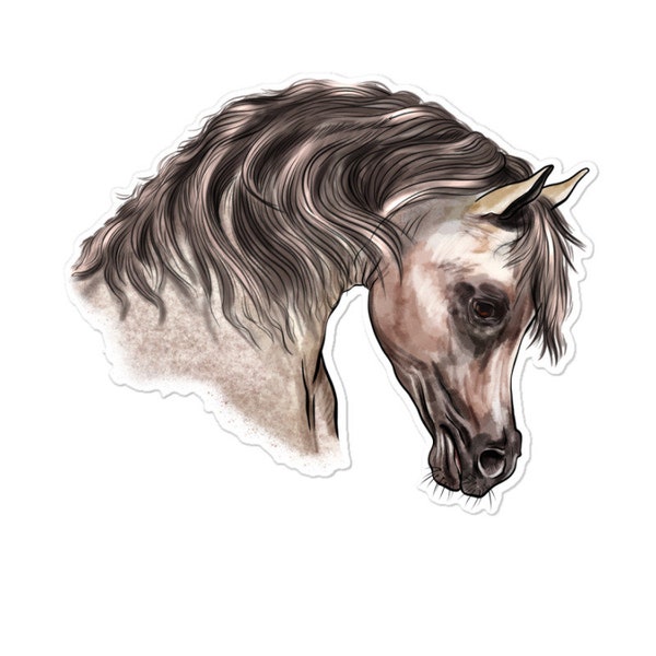 Arabian Horse Sticker - Etsy