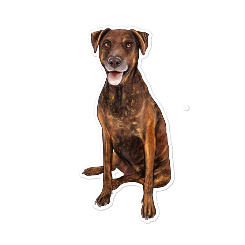 Plott Hound Dog Sticker - Etsy