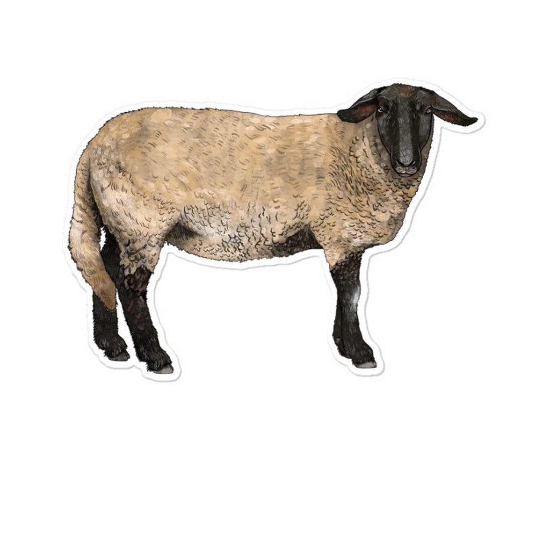 Suffolk Sheep Sticker - Etsy