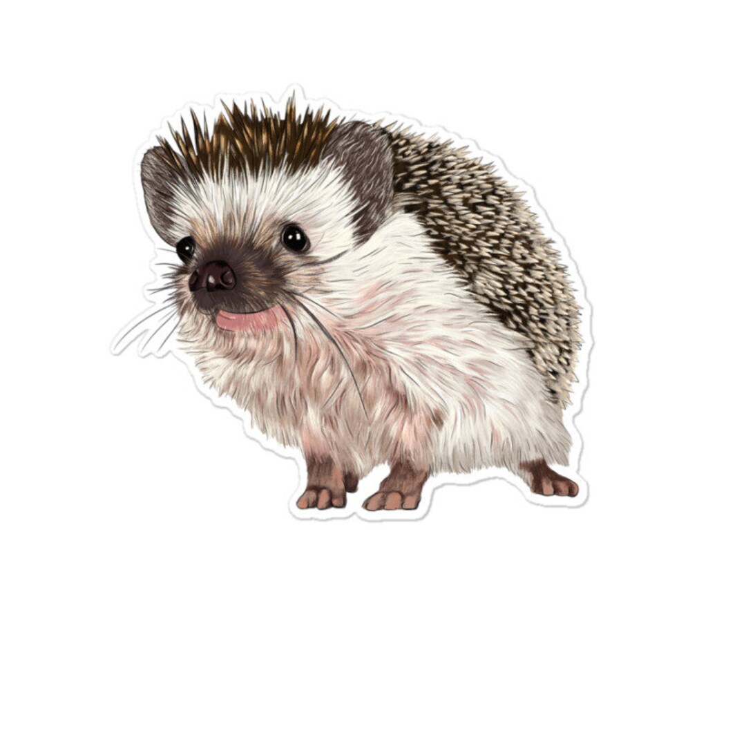 Hedgehog Illustrations Sticker - Etsy