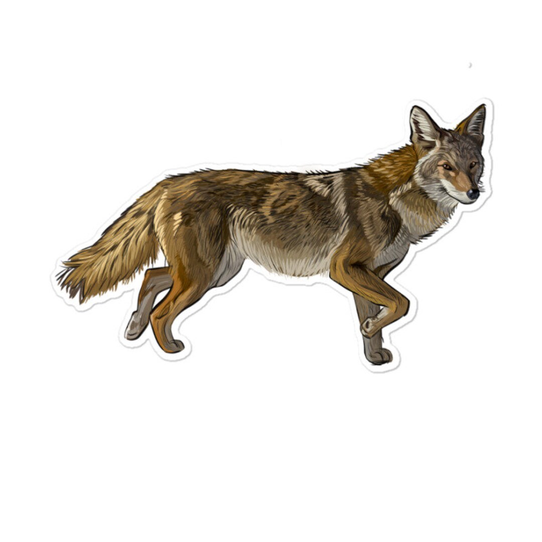 Coyote Sticker - Etsy