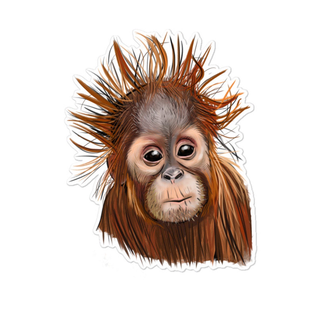 Baby Orangutan Sticker - Etsy