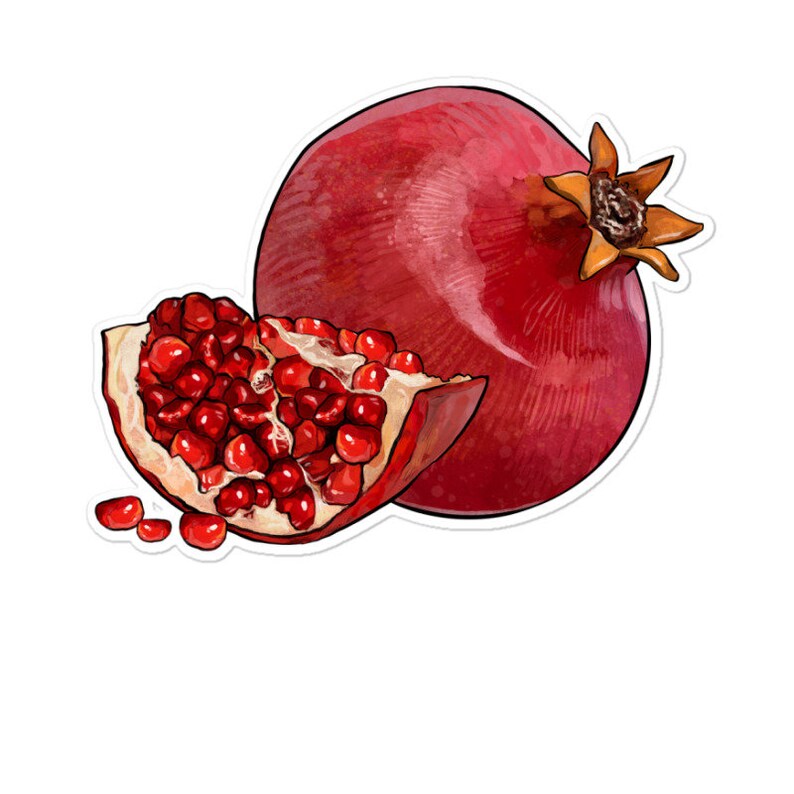 Pomegranate Sticker - Etsy