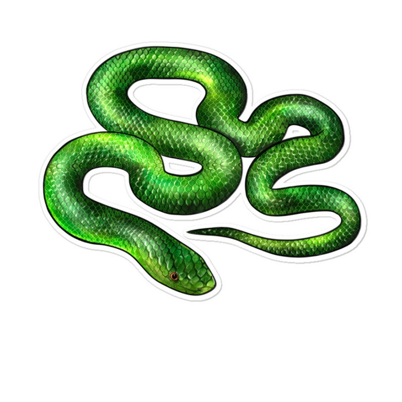 Boomslang Snake Sticker - Etsy