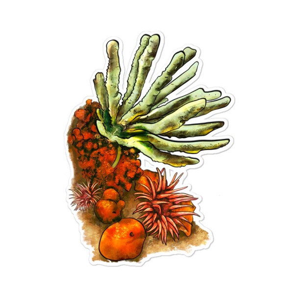 Coral Reef Sticker - Etsy