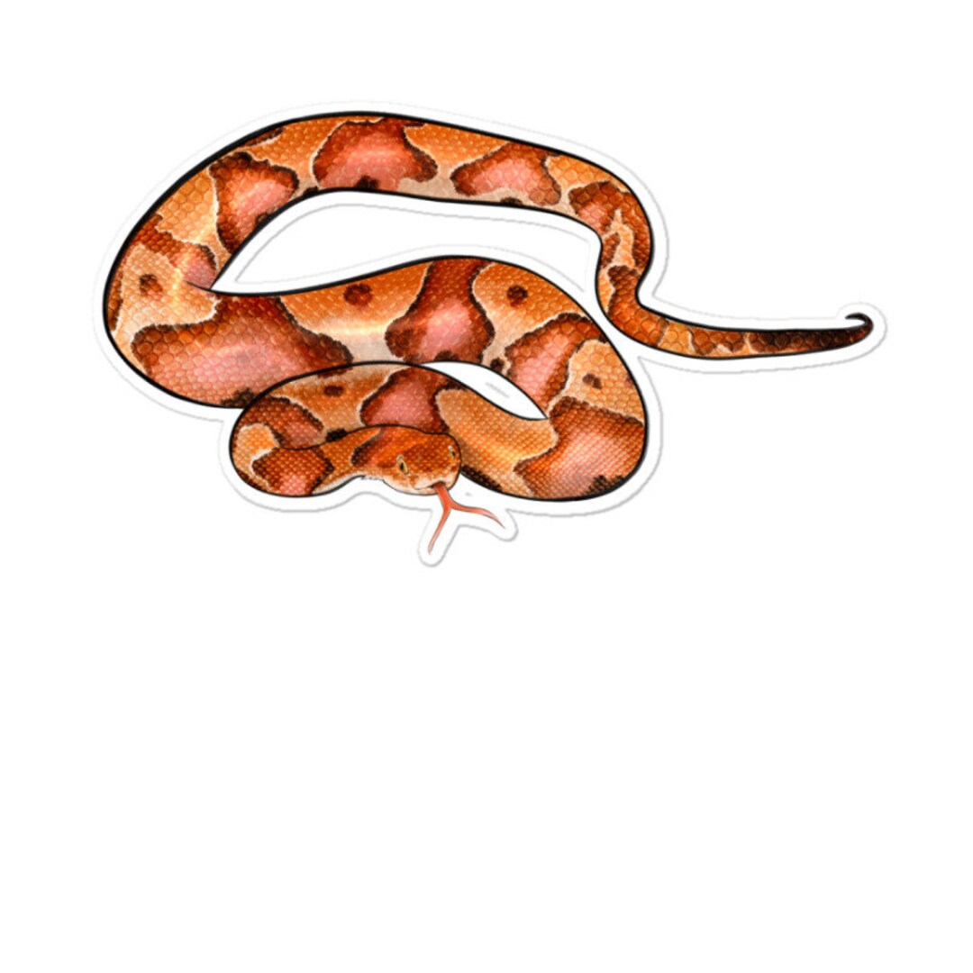 Copperhead Snake Illustrations Sticker - Etsy