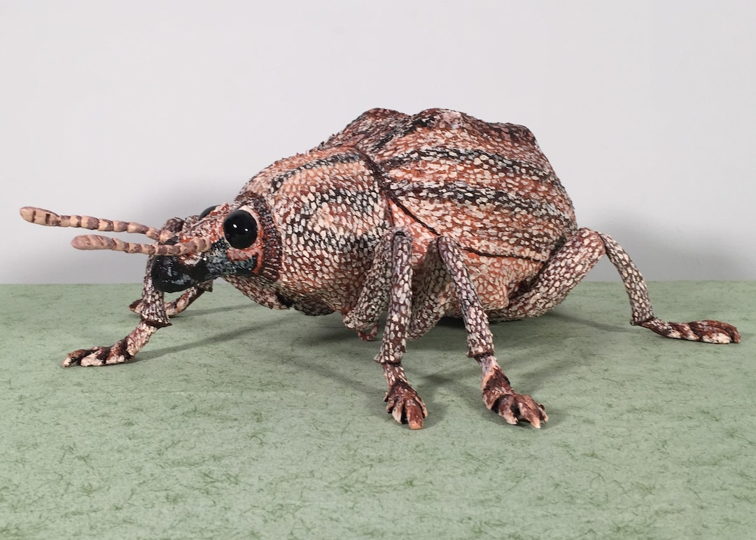 Oxyops Weevil Sculpture: 18" Hand-crafted Wood, Clay & Metal Insect Art ...