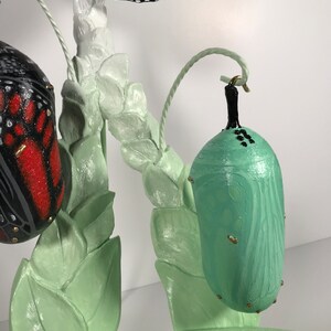 Monarch Metamorphosis Display - Etsy