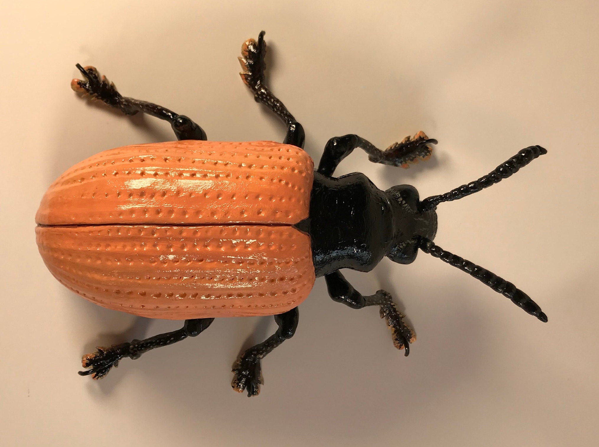 Air Potato Beetle - Etsy