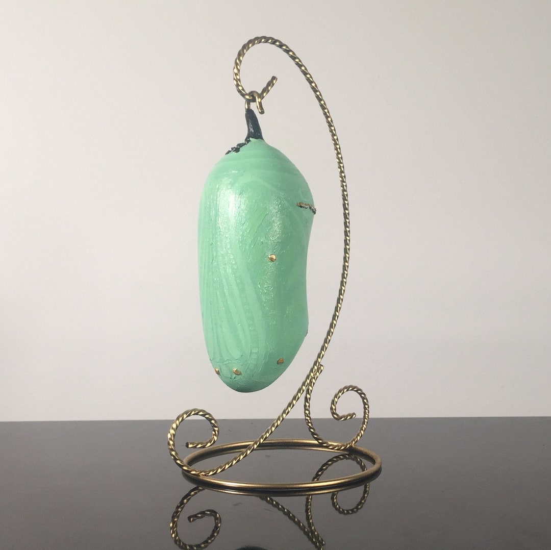 5 3/4" Monarch Chrysalis With Stand , 8 1/2" Tall in Stand, Chrysalis ...