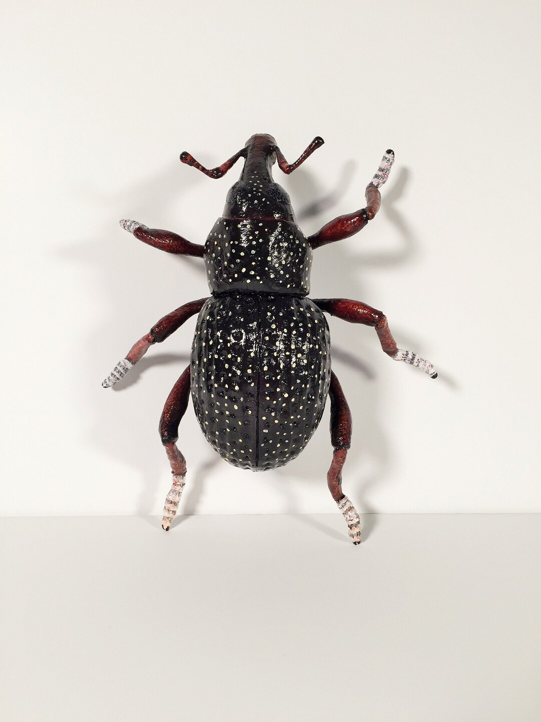 Polymer Clay Salvinia Weevil Sculpture: Hand-painted Insect Art (7 ...