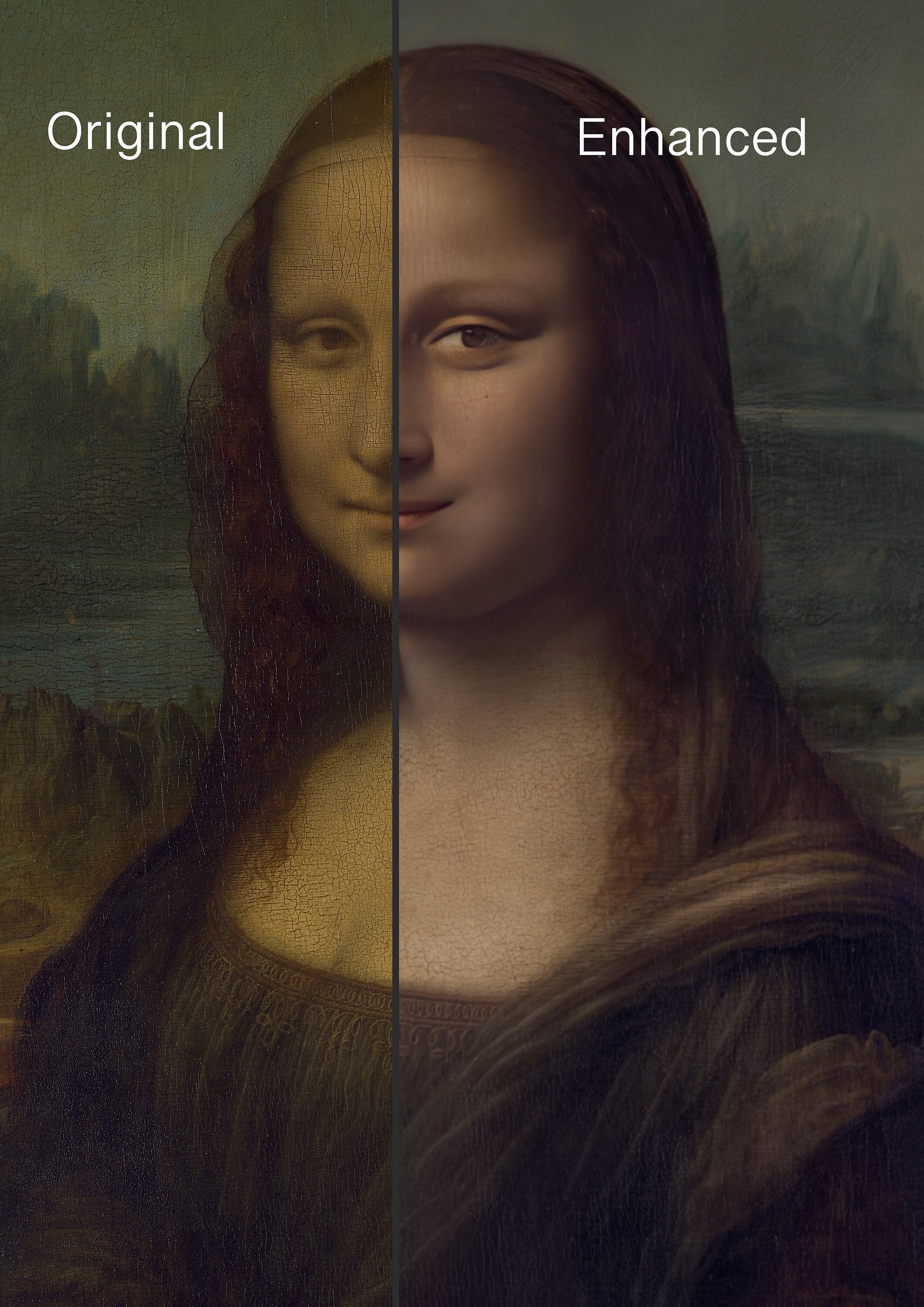 Mona Lisa Restored High Definition Art Wall Canvas Digital - Etsy