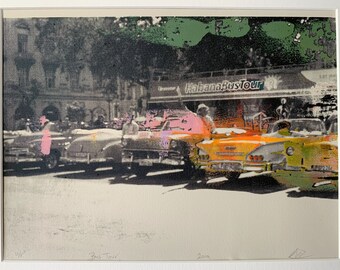 Fruit Bowl Screen Print - Etsy