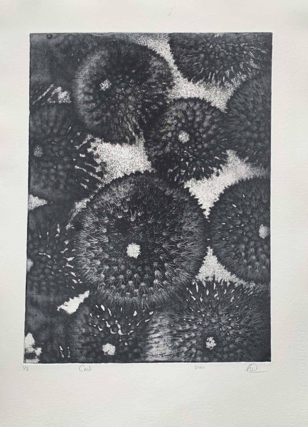 Large Solar Plate Etching: cacti - Etsy