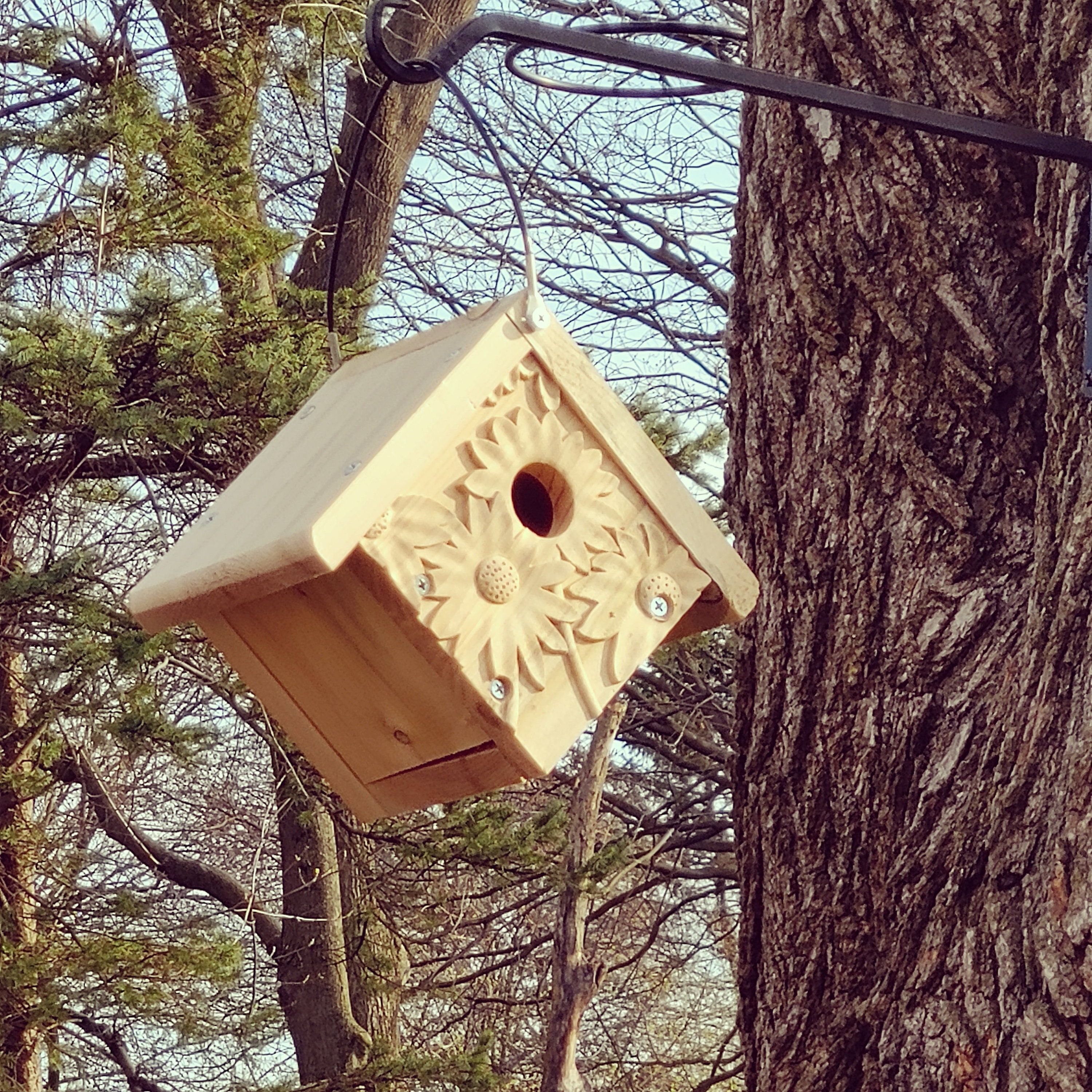 Wren House With Decorative Raspberry Carved Cedar Face - Etsy