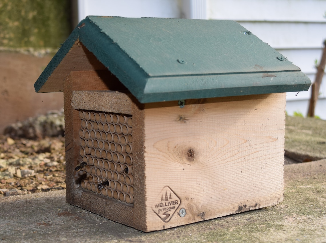 Solitary Bee Nest House for Mason Bees - Etsy