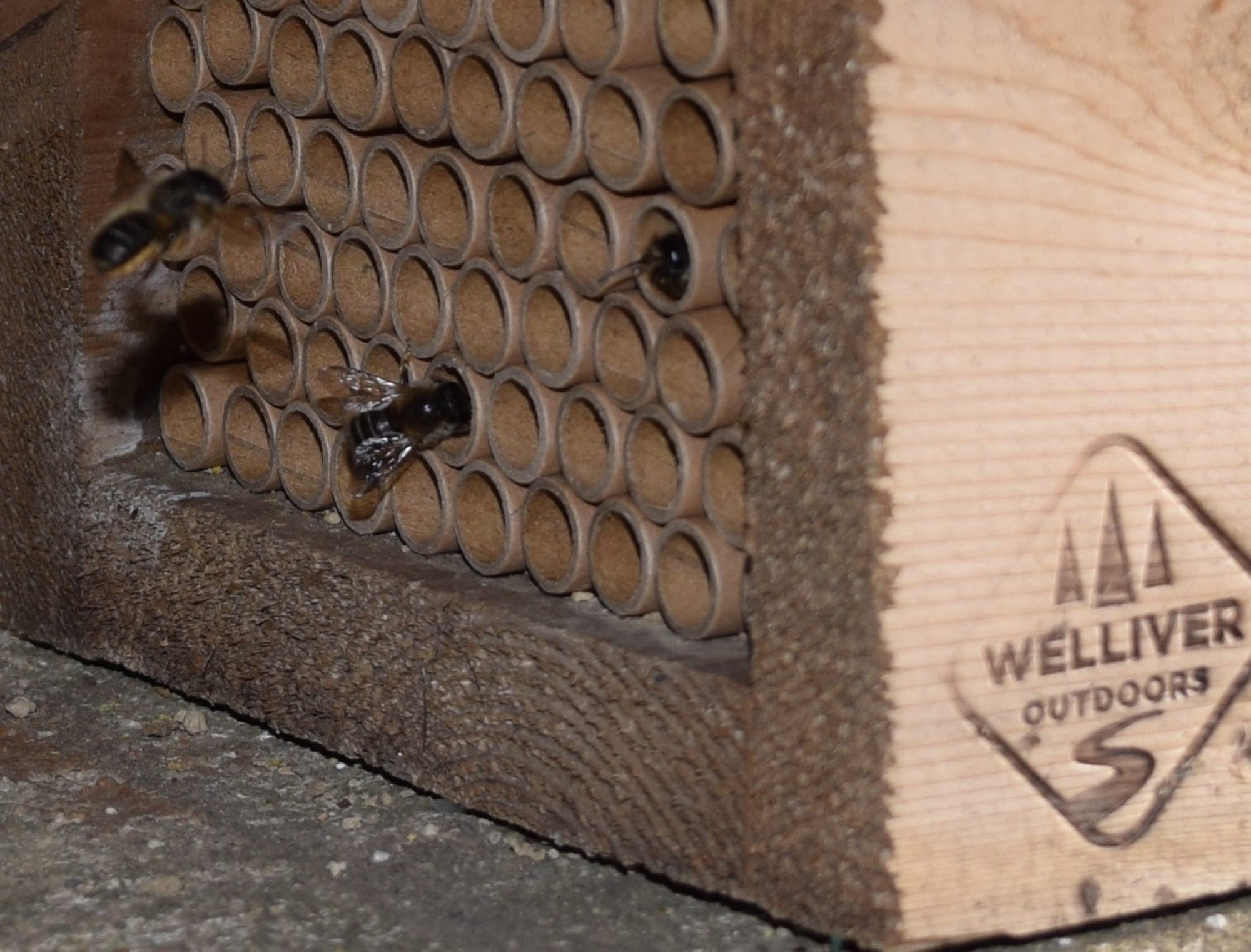 Solitary Bee Nest House for Mason Bees | Etsy Canada