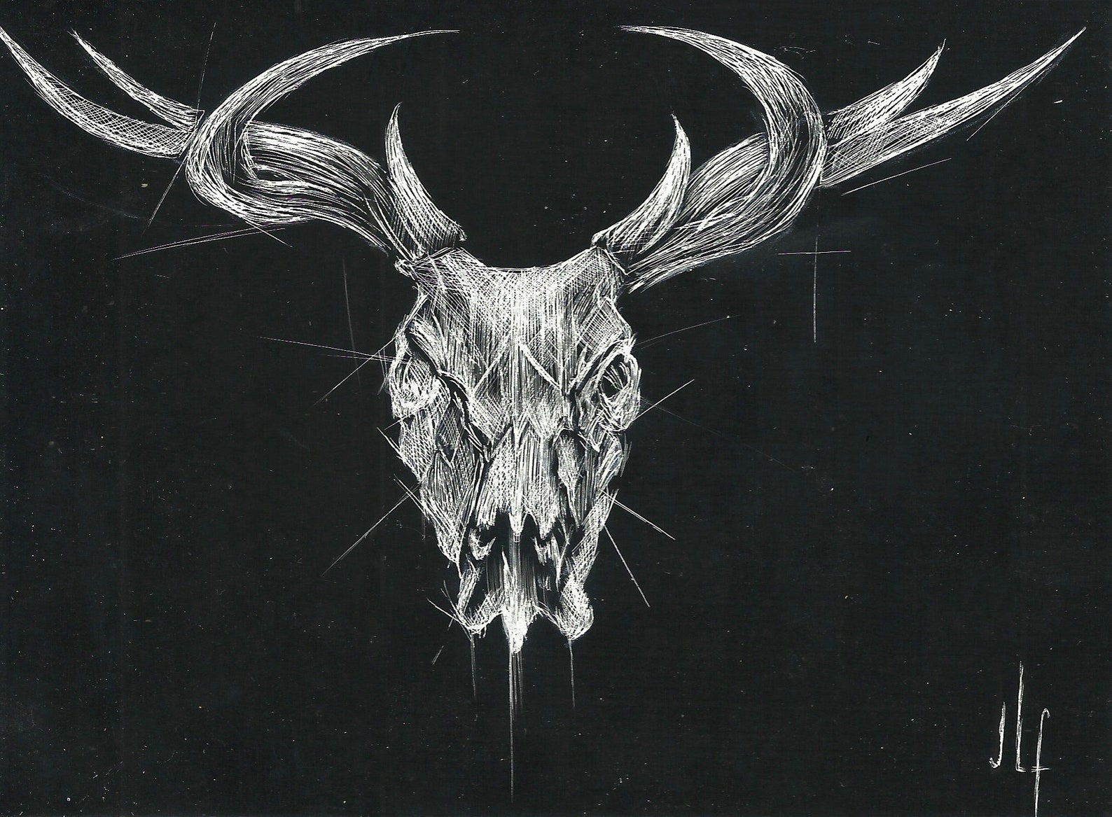 Deer Skull Etching Original Art on Engraving Card - Etsy Canada