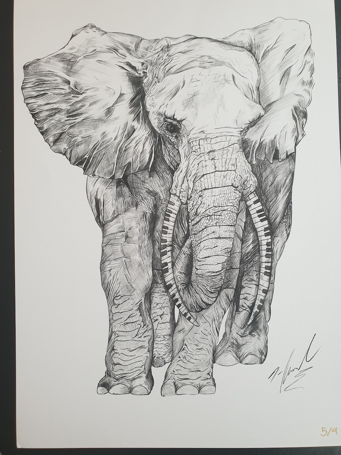 Elephant Tusk Piano Animal Drawing Original Art Illustration - Etsy