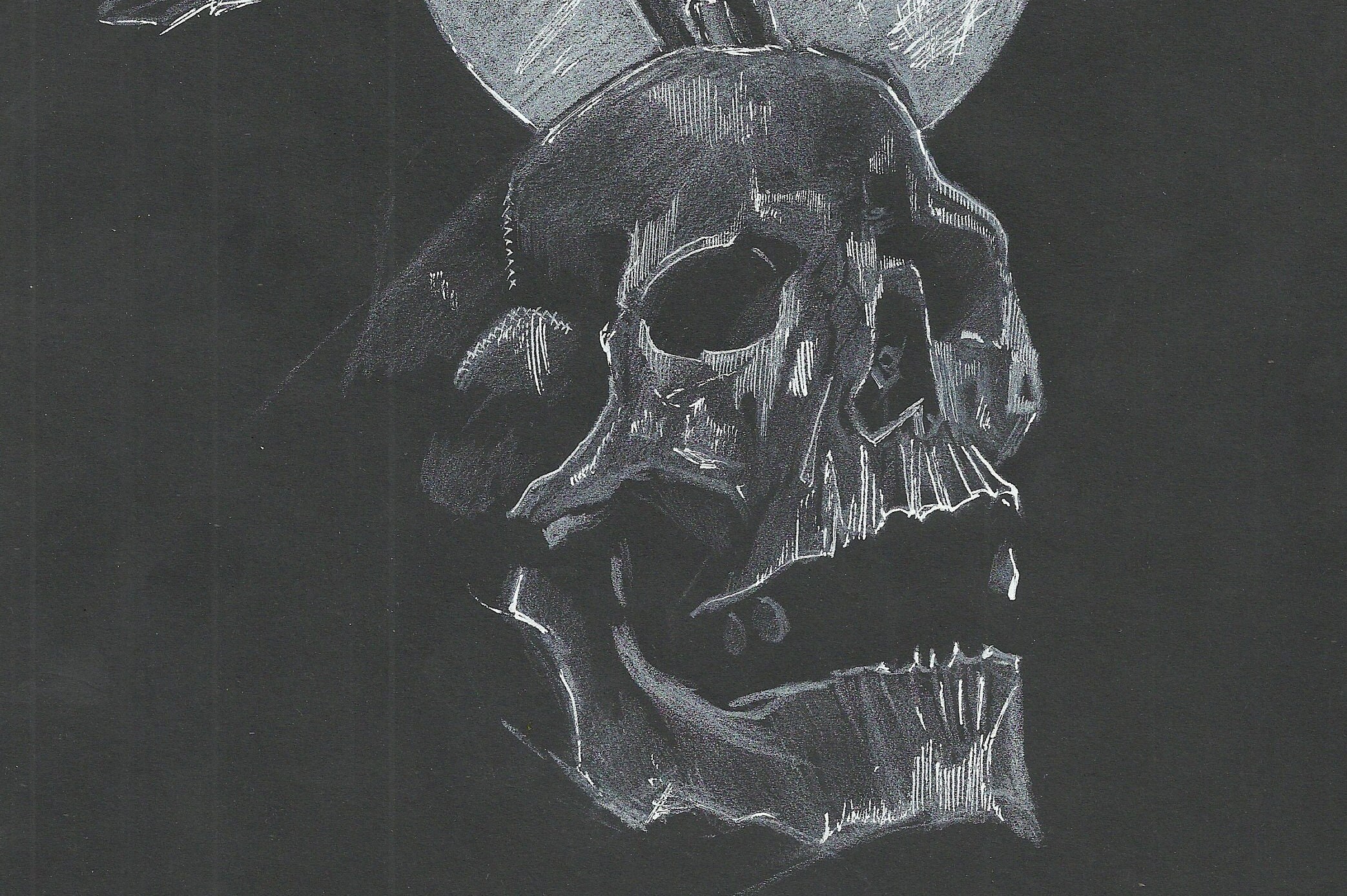 Crow on Top of Skull Original Art Print - Etsy