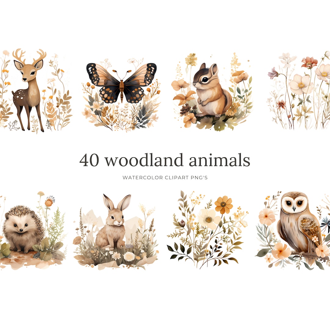 40 Woodland Animals Watercolor Clipart: Forest Animals Clip Art ...