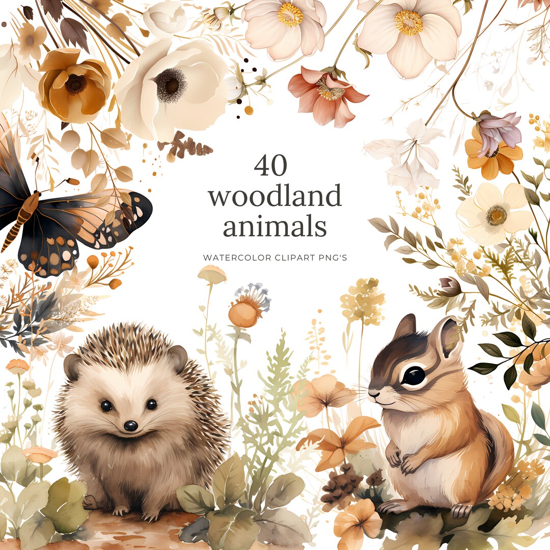 40 Woodland Animals Watercolor Clipart: Forest Animals Clip Art ...