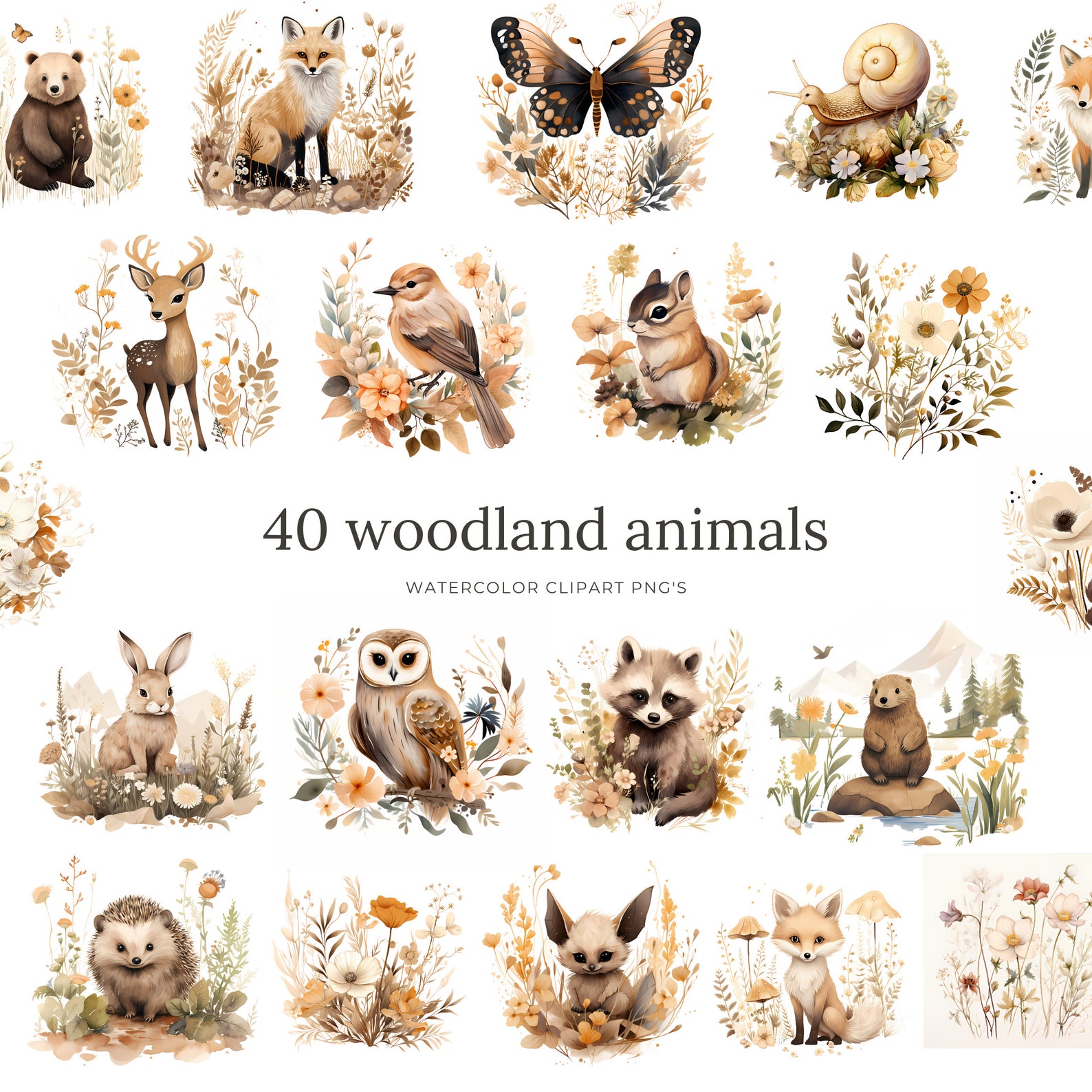 40 Woodland Animals Watercolor Clipart: Forest Animals Clip Art ...