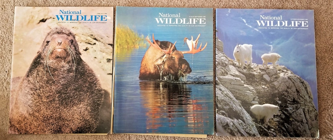 Lot of 3 Vintage 1980 National Wildlife Federation Magazines - Etsy