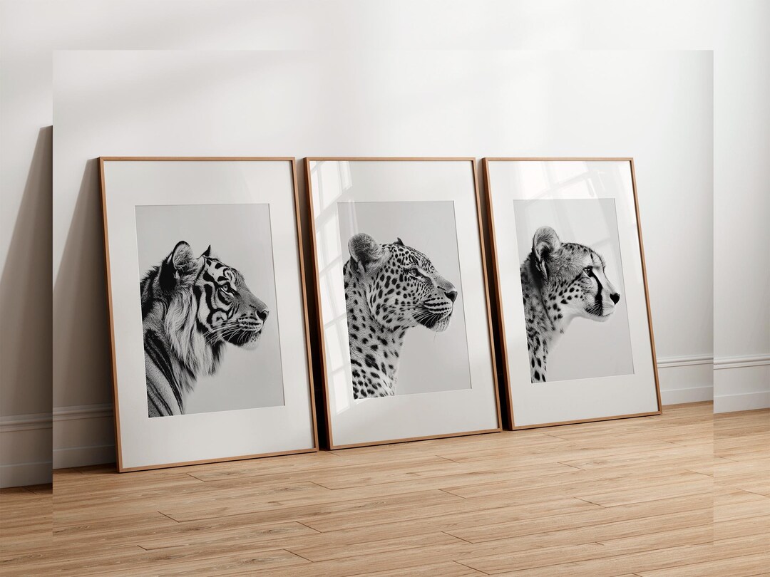 Set of 3 Black and White Animal Prints - Tiger, Leopard, Cheetah ...